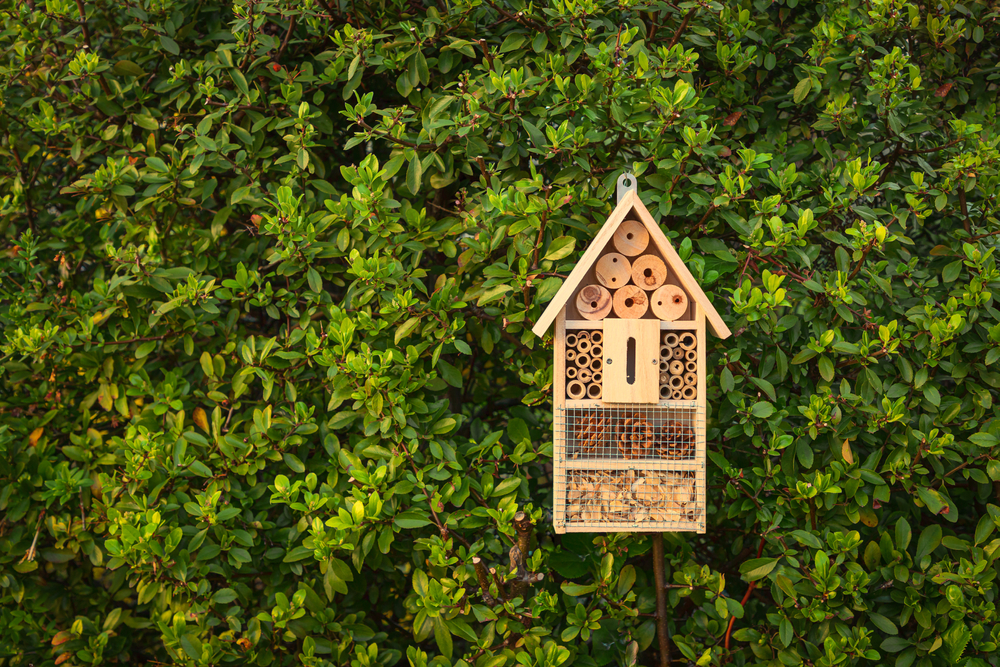 Les étapes pour créer votre propre hôtel à insectes